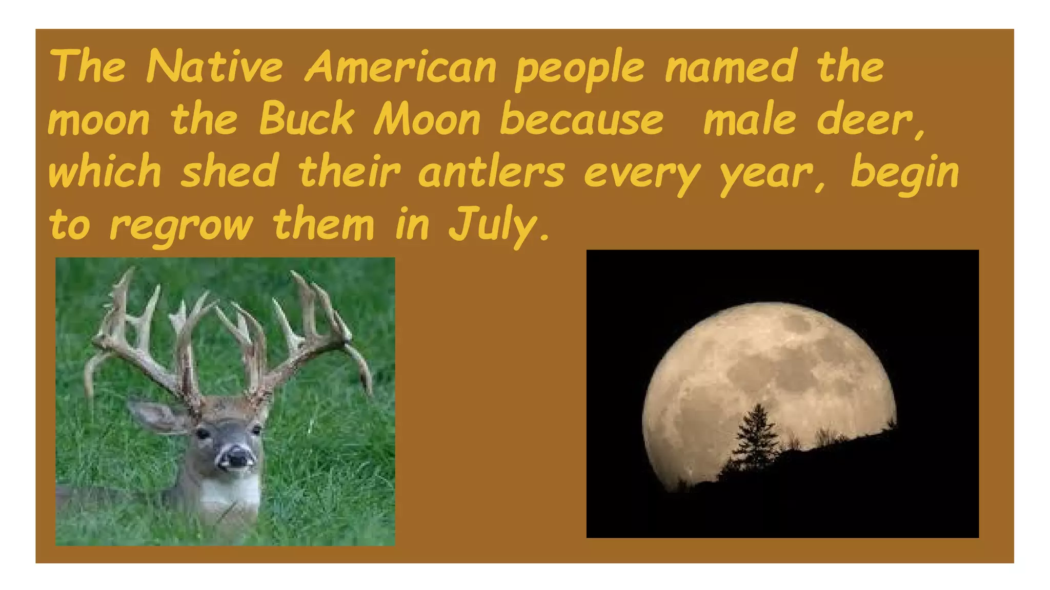 Names of special moons | PDF