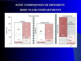 Sodium metabolism | PPT