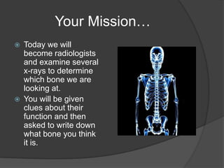 Name That Bone! | PPTX