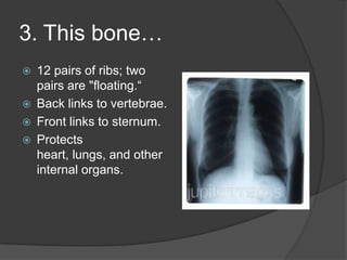 Name That Bone! | PPTX