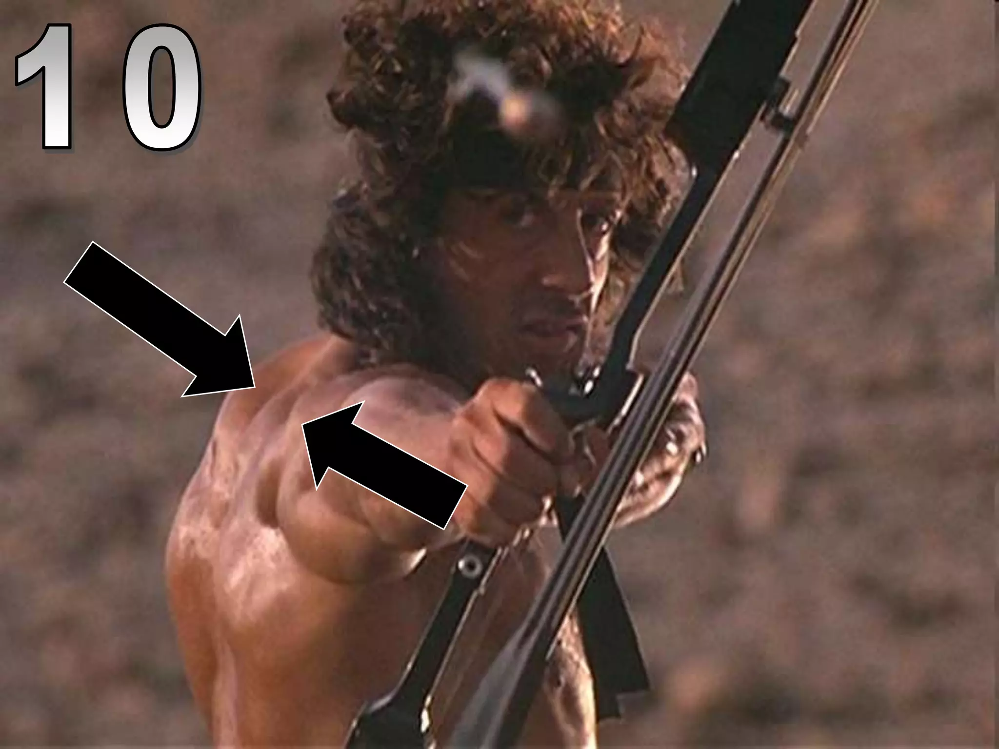 Name that Muscle on Stallone PowerPoint Quiz, Muscles, Muscular System ...