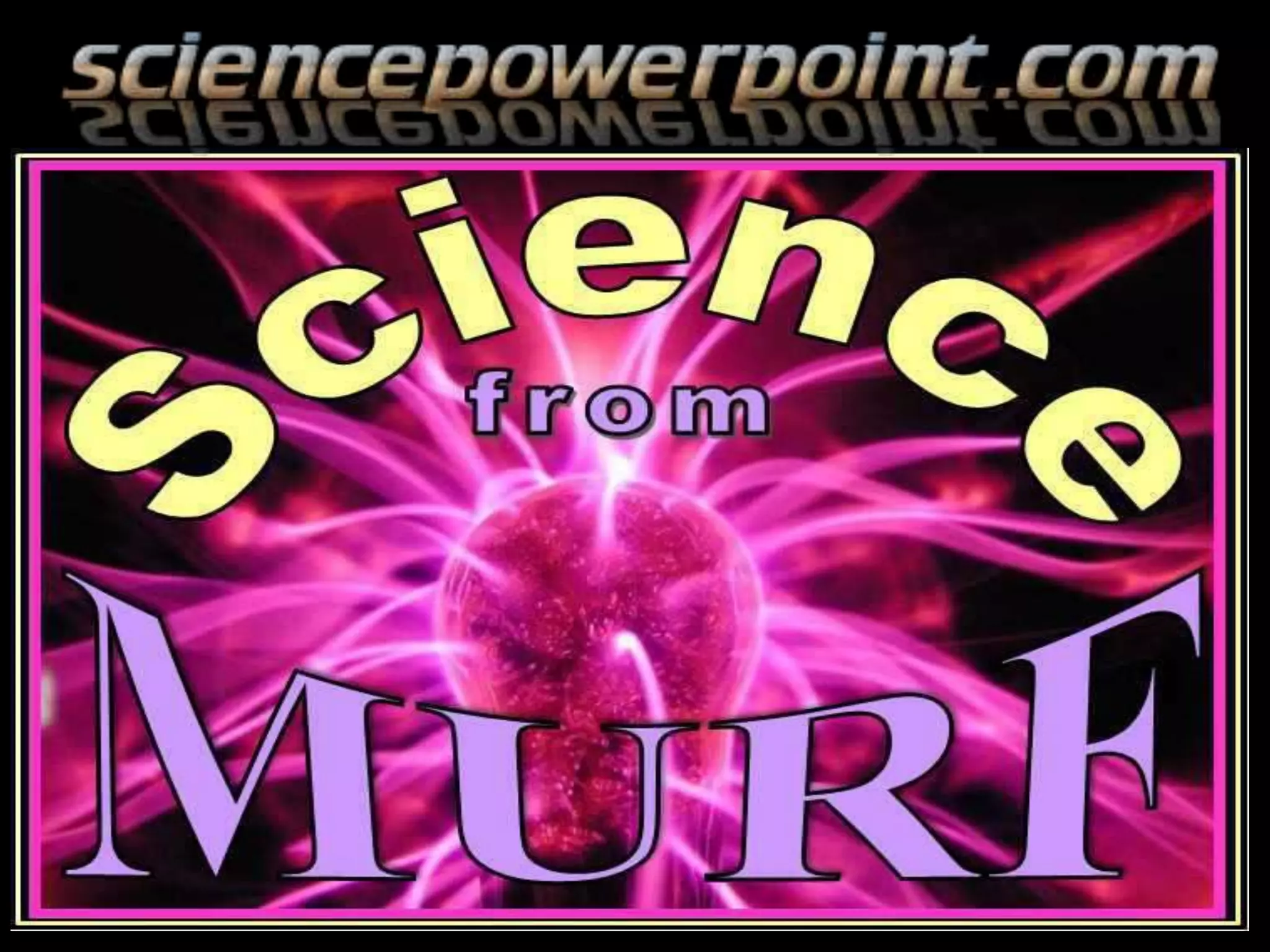 Name that Muscle on Stallone PowerPoint Quiz, Muscles, Muscular System ...