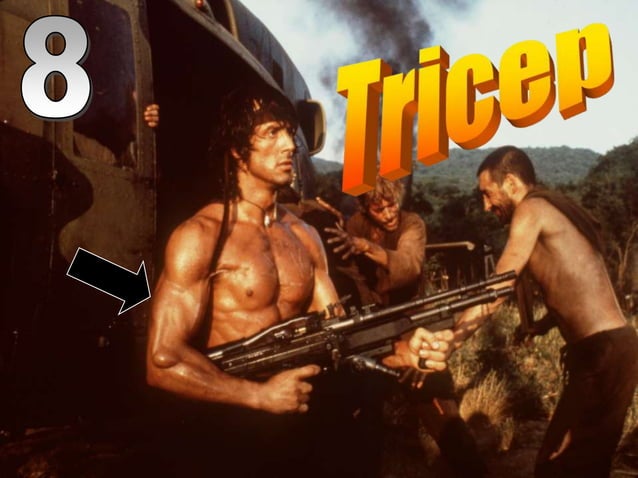 Name that Muscle on Stallone PowerPoint Quiz, Muscles, Muscular System ...