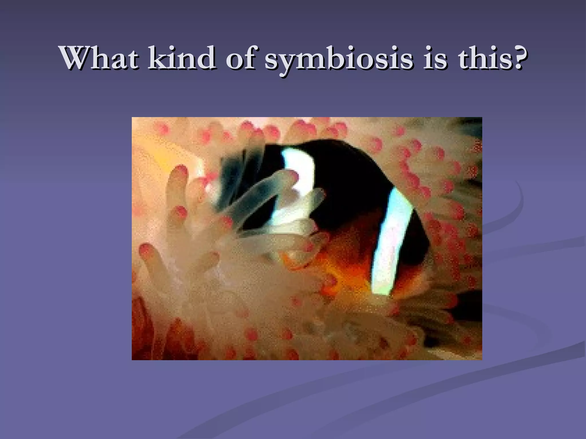 Name That Symbiosis | PPT