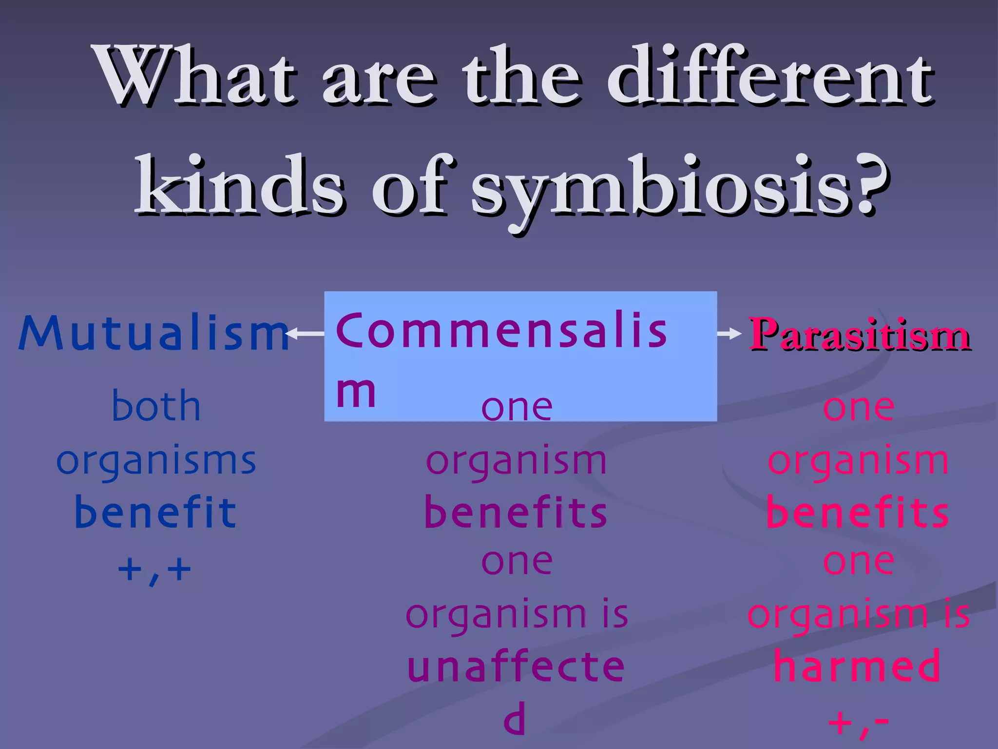Name That Symbiosis | PPT