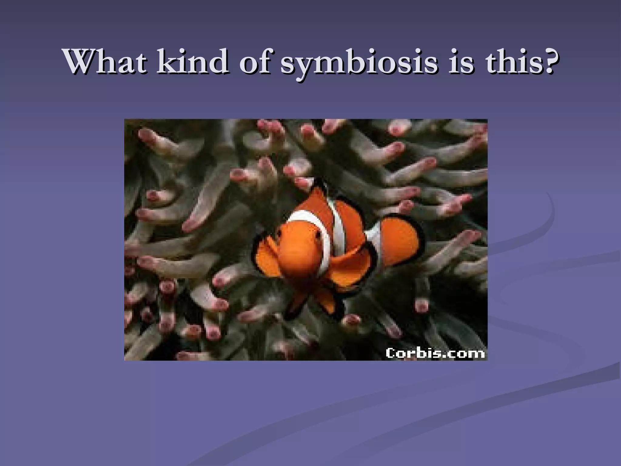Name That Symbiosis | PPT