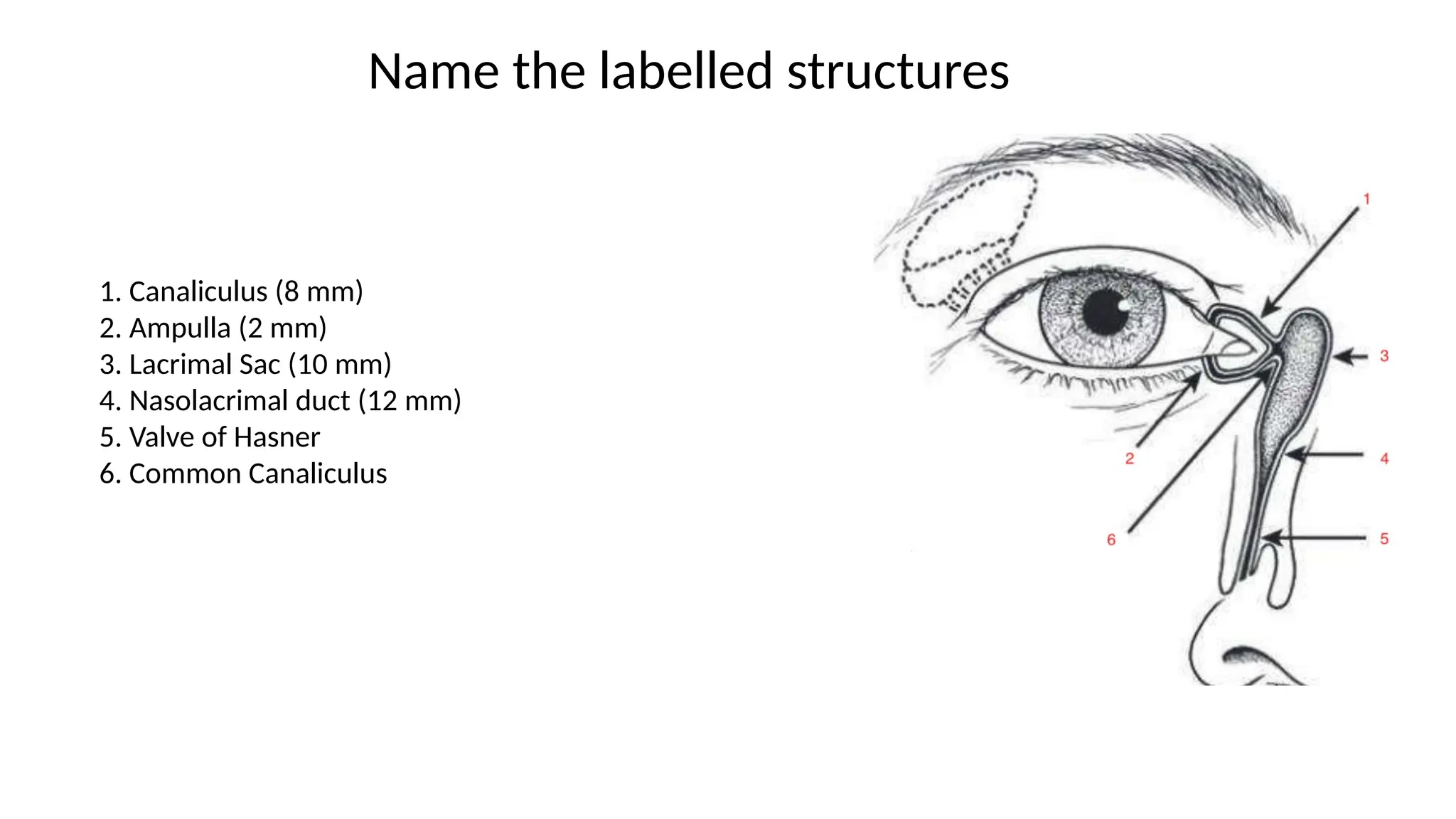 Name the labelled structures - Lacrimal drainage system.pptx