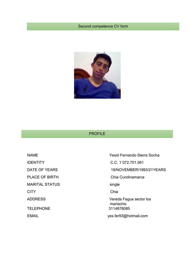 Second competence CV form | PDF