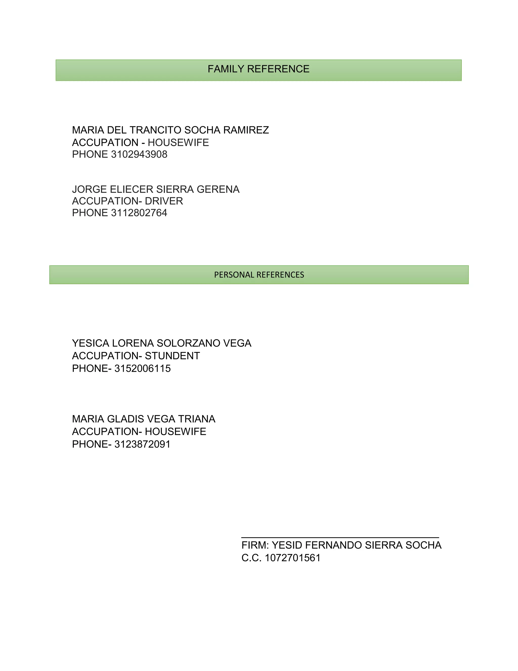 Second competence CV form | PDF