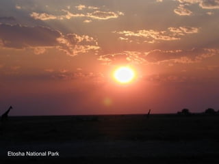 Namibia | PPT
