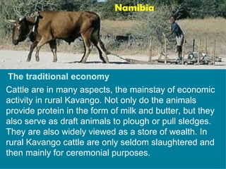 Namibia | PPT