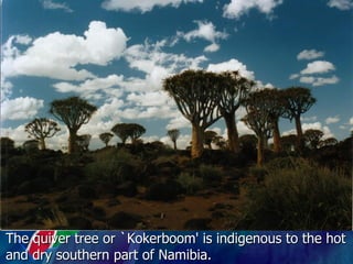 Namibia | PPT