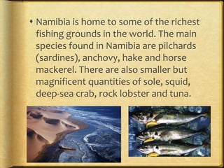 Namibia | PPTX