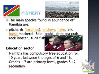 Namibia land of the brave | PPTX | Africa Travel | Travel Locations