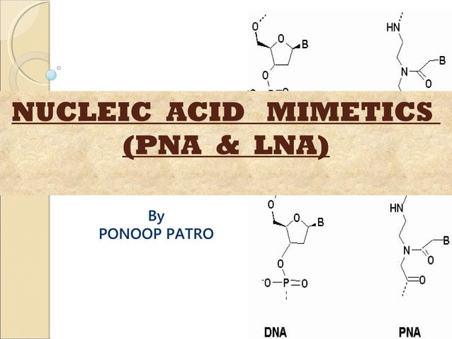 Nucleic mimetics (PNA, LNA) | PPT