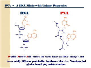 Nucleic mimetics (PNA, LNA) | PPT