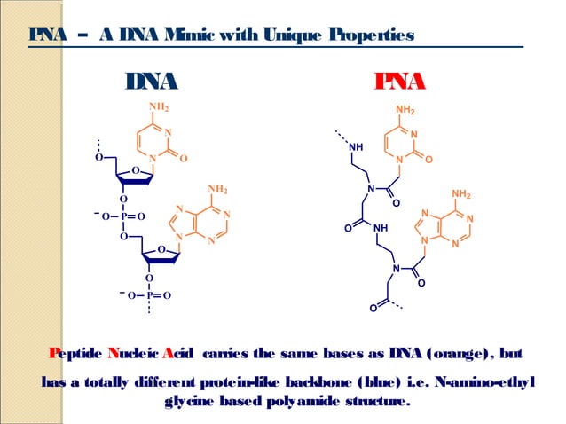 Nucleic mimetics (PNA, LNA) | PPT