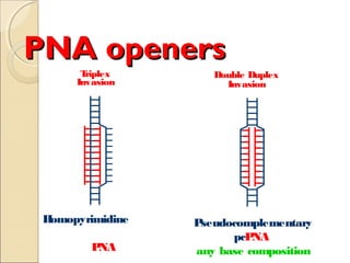 Nucleic mimetics (PNA, LNA) | PPT