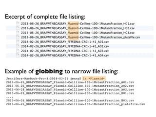 How to name files | PPT