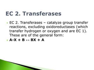 Namingandclassification | PPT