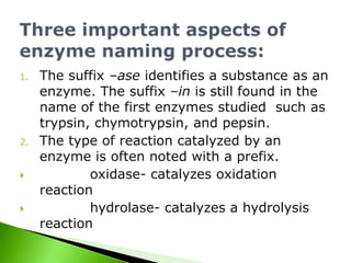 Namingandclassification | PPT