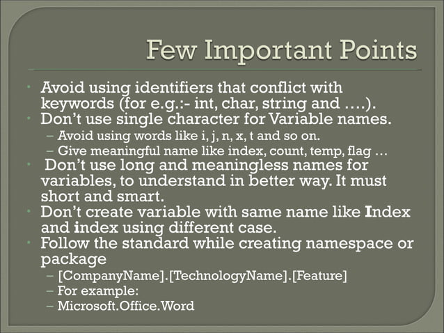 Naming Standards And Basic Rules In Net Coding Ppt Programming Languages Computing