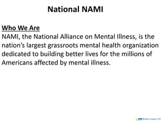 Nami overview for public presentations | PDF