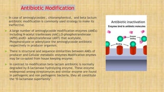 Antibiotic resistome by Dr Namita Shukla | PPT