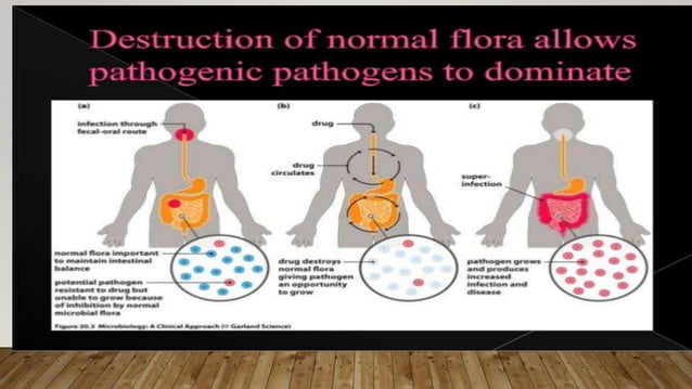 Antibiotic resistome by Dr Namita shukla | PPT