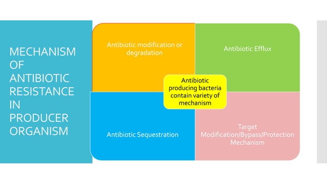 Antibiotic resistome by Dr Namita shukla | PPT