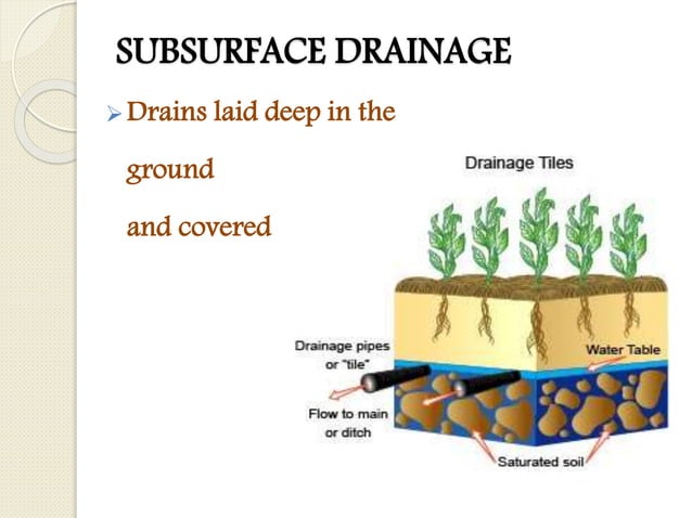 DESIGN OF SUBSURFACE DRAINAGE SYSTEM | PPTX | Gardening | Home & Garden
