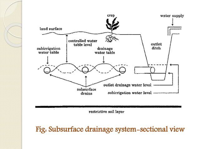 DESIGN OF SUBSURFACE DRAINAGE SYSTEM | PPTX | Gardening | Home & Garden