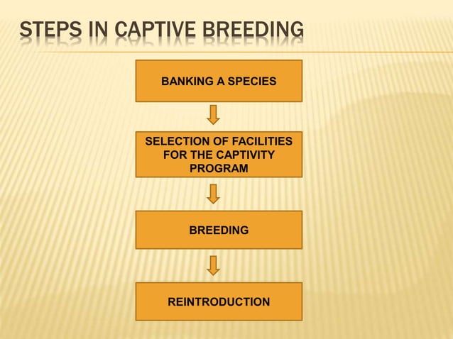 CONSERVATION OF WILDLIFE THROUGH CAPTIVE BREEDING | PPTX | Zoos ...