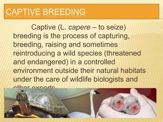 CONSERVATION OF WILDLIFE THROUGH CAPTIVE BREEDING | PPTX