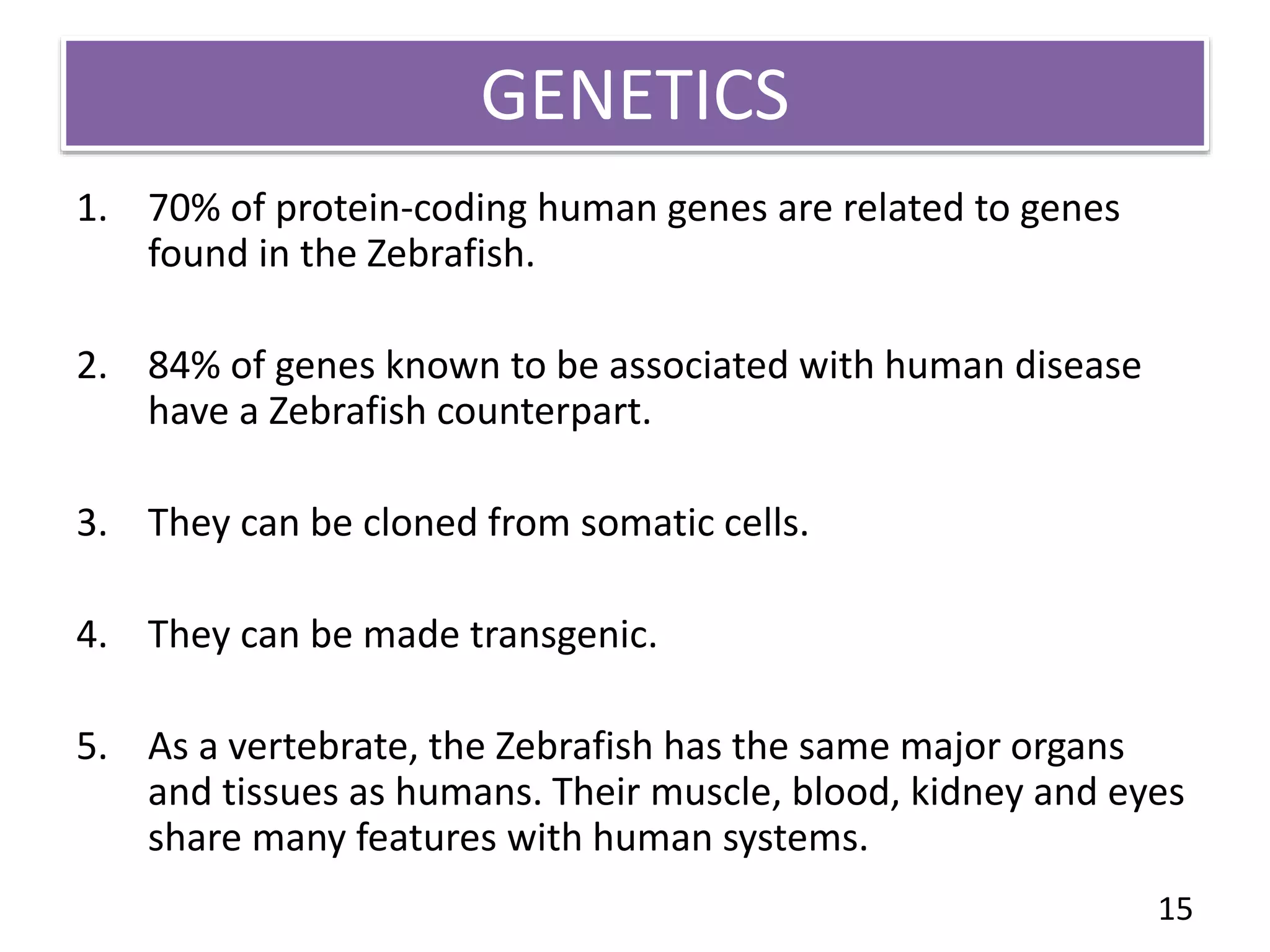 ZEBRAFISH : AS A MODEL ORGANISM. | PPTX