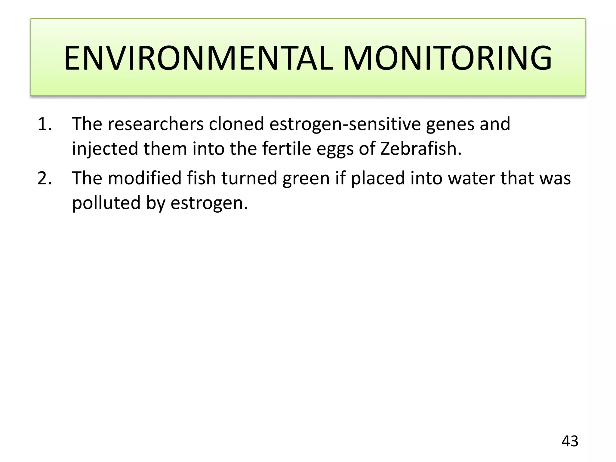 ZEBRAFISH : AS A MODEL ORGANISM. | PPTX