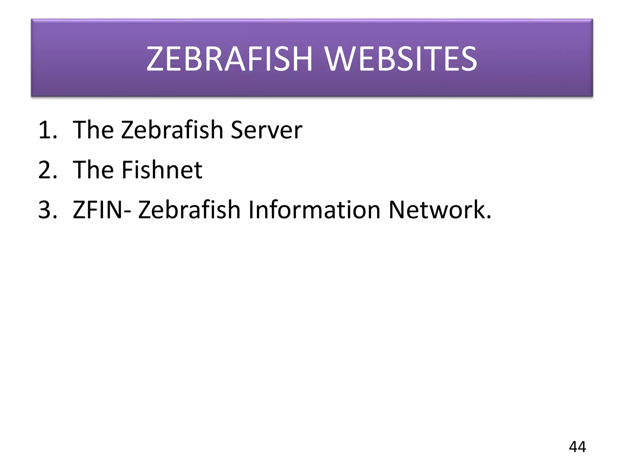 ZEBRAFISH : AS A MODEL ORGANISM. | PPTX
