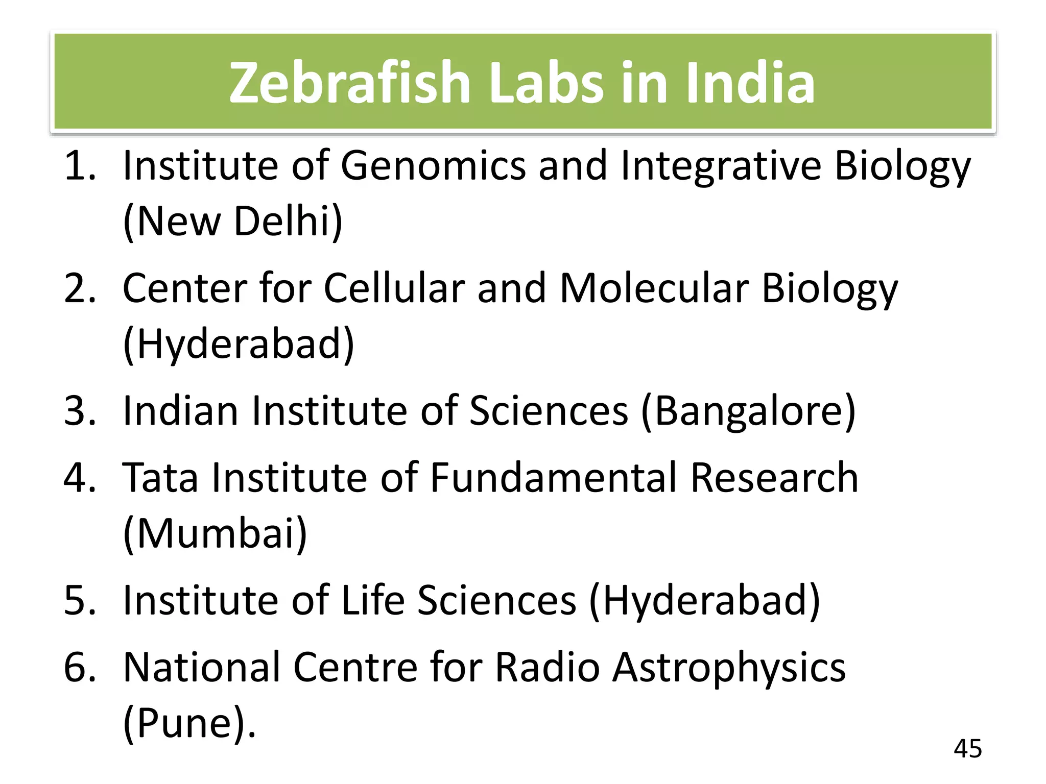ZEBRAFISH : AS A MODEL ORGANISM. | PPTX