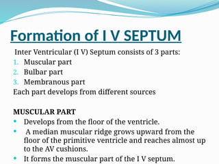 S3ptum formation in ventricles and formation of conducting system of ...