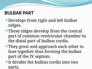 S3ptum formation in ventricles and formation of conducting system of ...