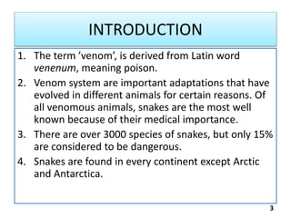 Venum Meaning In English Outlet | emergencydentistry.com