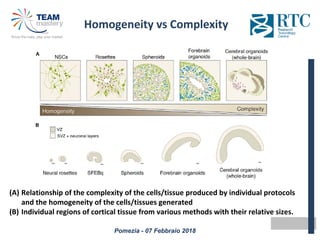 NAMs reach and reproductive toxicity | PPT