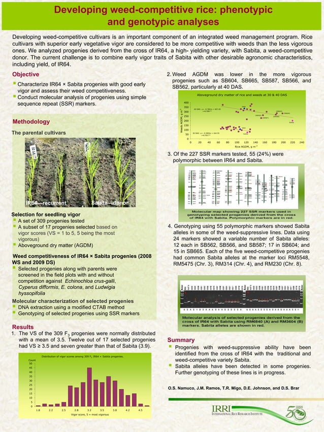 Developing weed-competitive rice: phenotypic and genotypic analyses | PDF | Genetics | Science