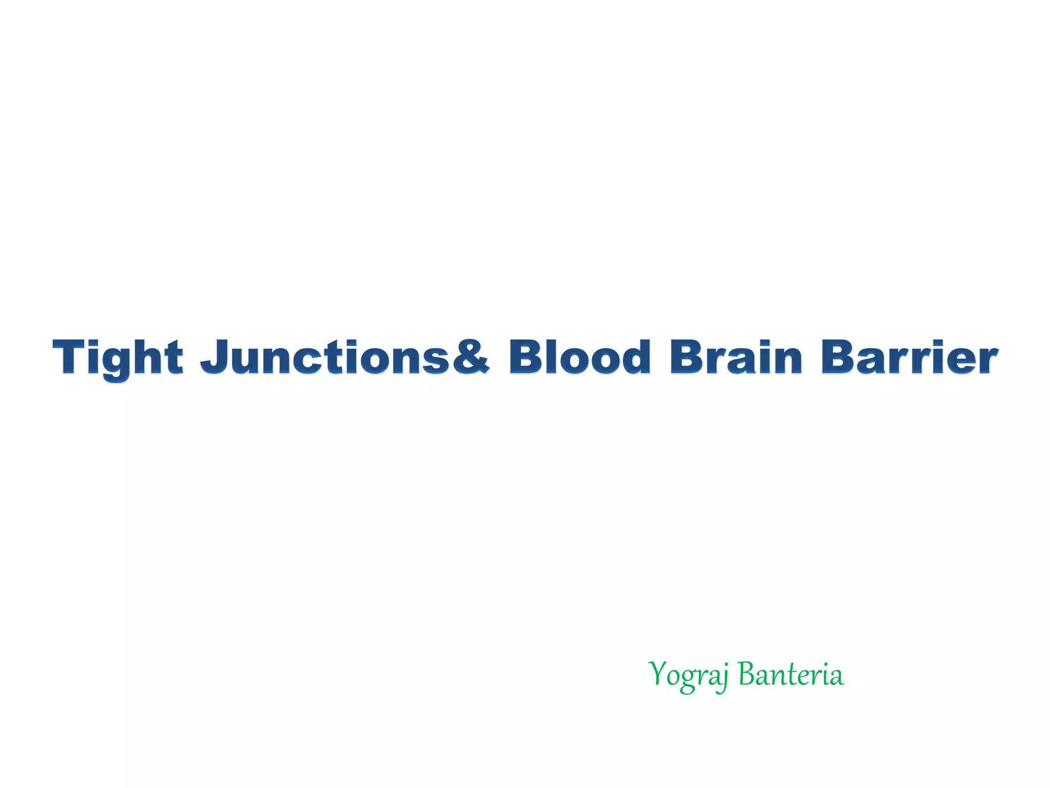 tight junction and blood brain barrier | PPTX | Brain and Nervous ...