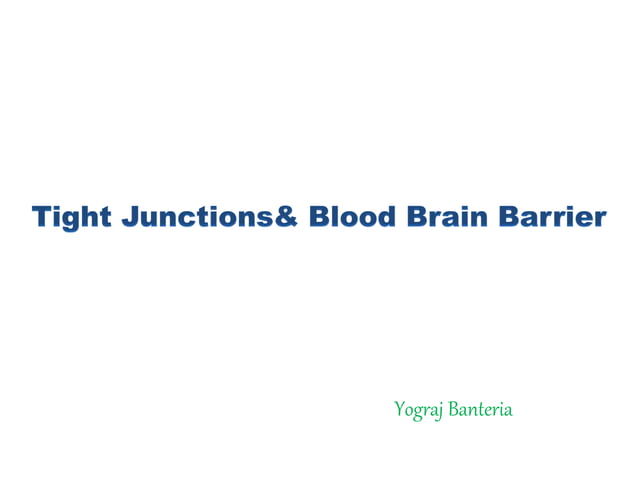 tight junction and blood brain barrier | PPTX | Brain and Nervous ...