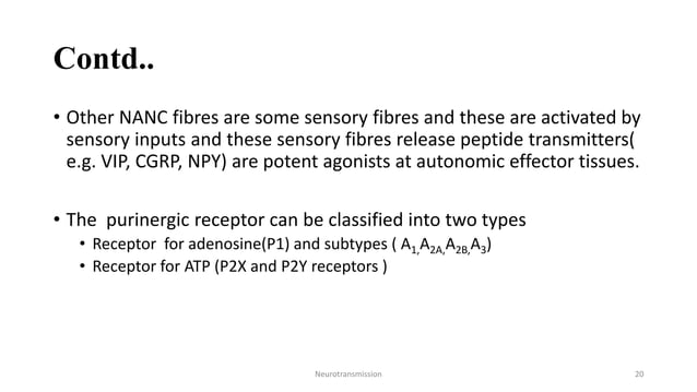 Non adrenergic and Non cholinergic transmission | PPTX | Brain and ...