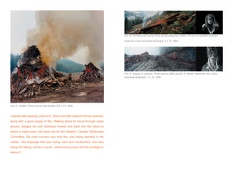 Nancy Bleck Thesis | PDF