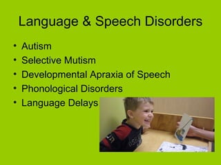 Nancy play and language training | PPT