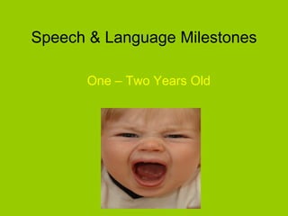 Nancy play and language training | PPT