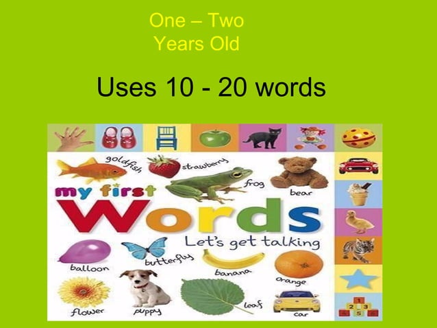 Nancy play and language training | PPT